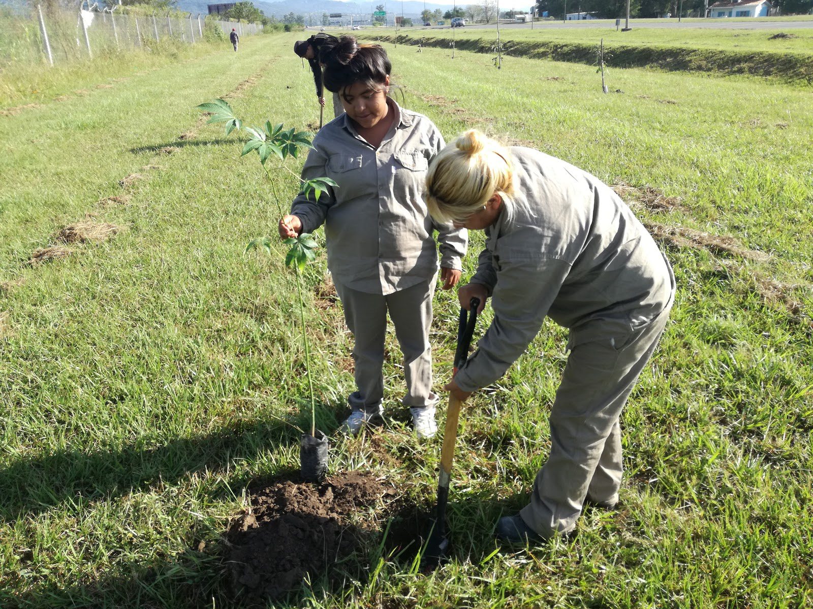 Continúan las diversas acciones en el marco del Plan de Manejo del ...